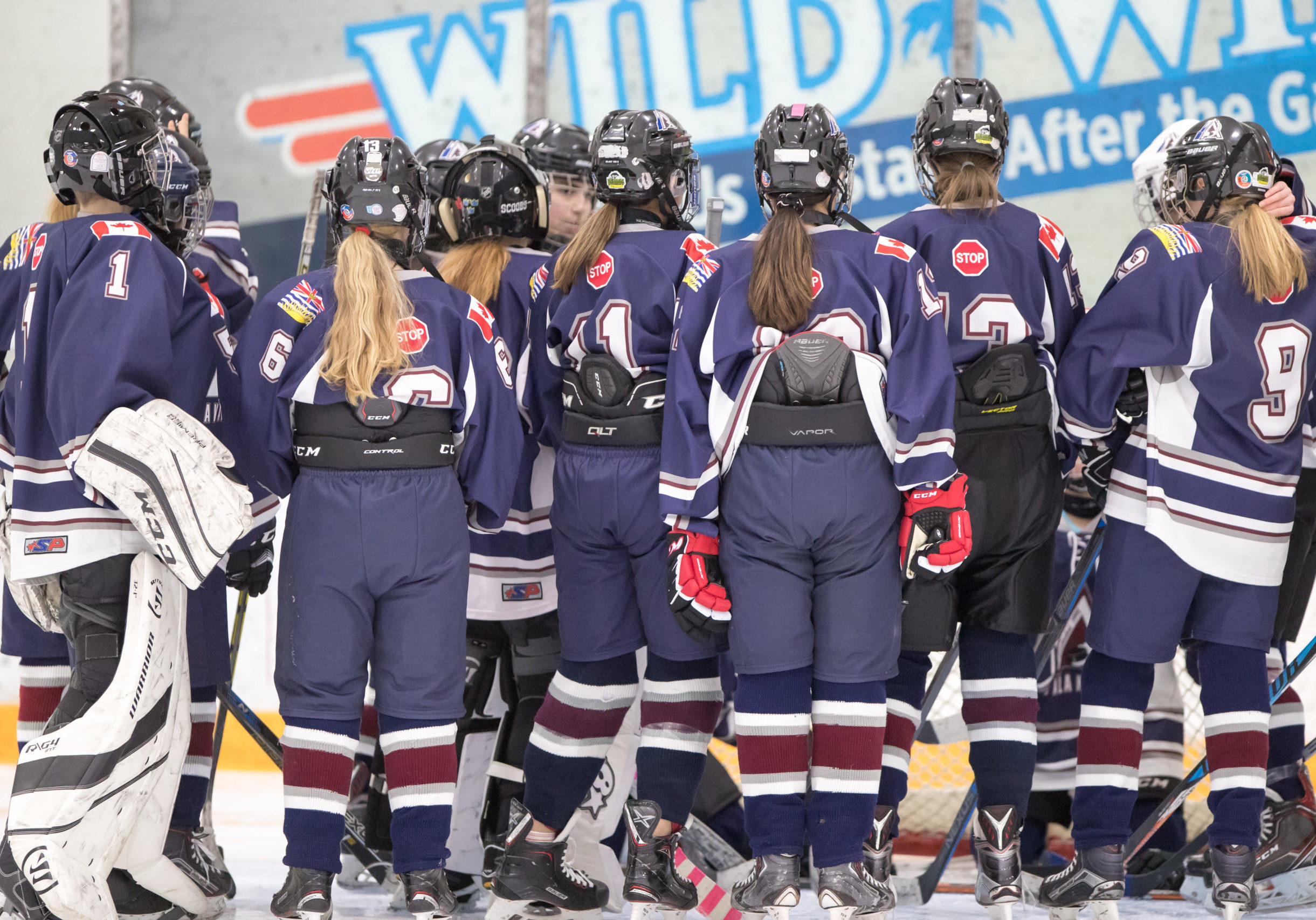 North Shore Avalanche – North Shore Female Ice Hockey Association